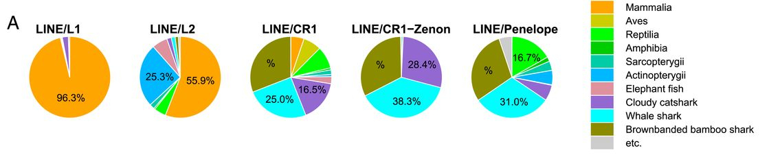 UNIST Reveals the Whole Genome Sequences of Whale Sharks