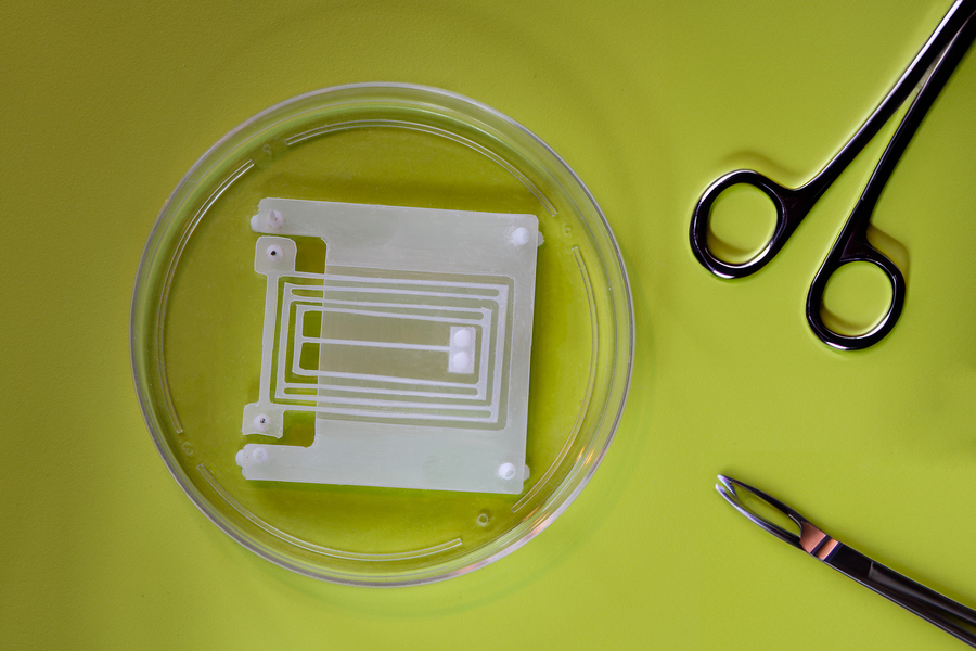 MIT engineers design soft and flexible “skeletons” for muscle-powered ...