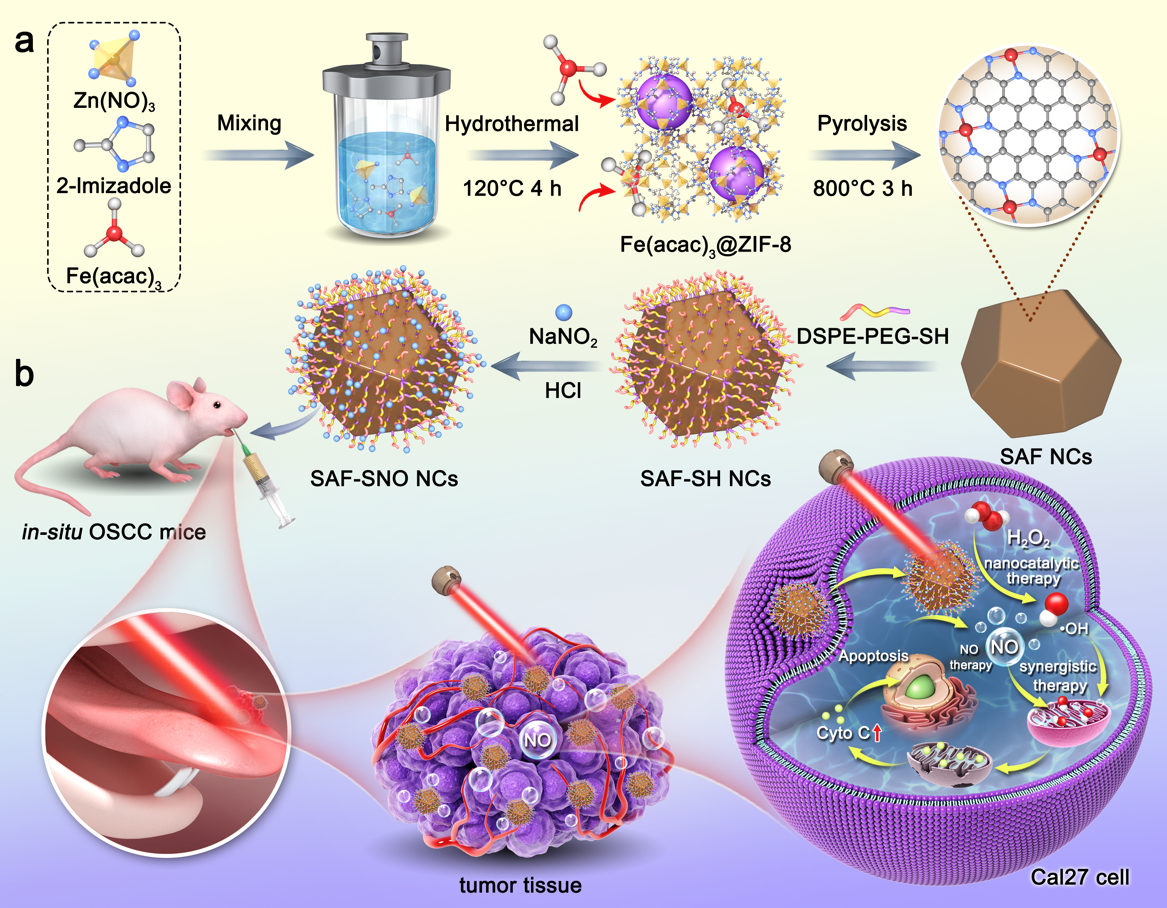 Dual-action therapy shows promise against aggressive oral cancer