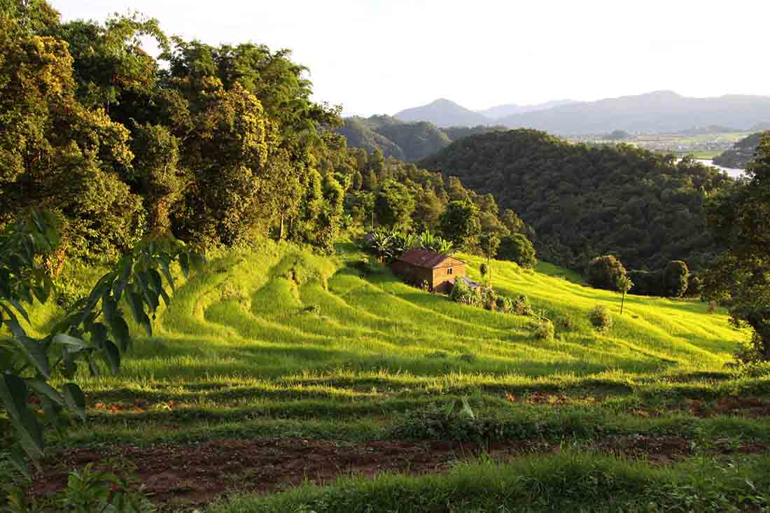 Himalayan Agroecology Initiative: Pioneering Sustainable Food Systems ...