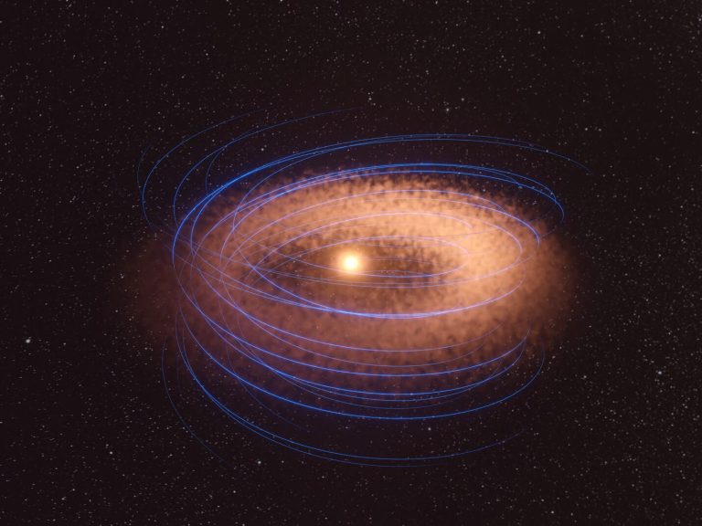 ALMA observes a magnetic field in a protoplanetary disk for the first time