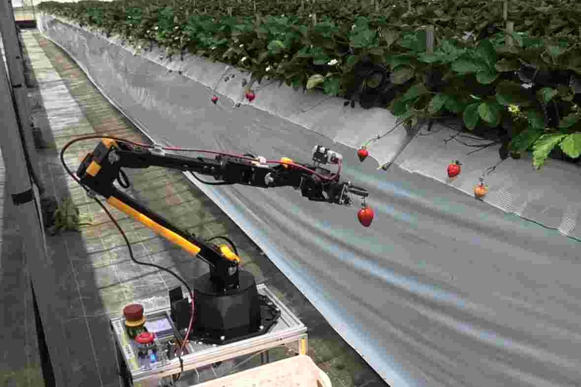 Farm robot autonomously navigates, harvests among raised beds