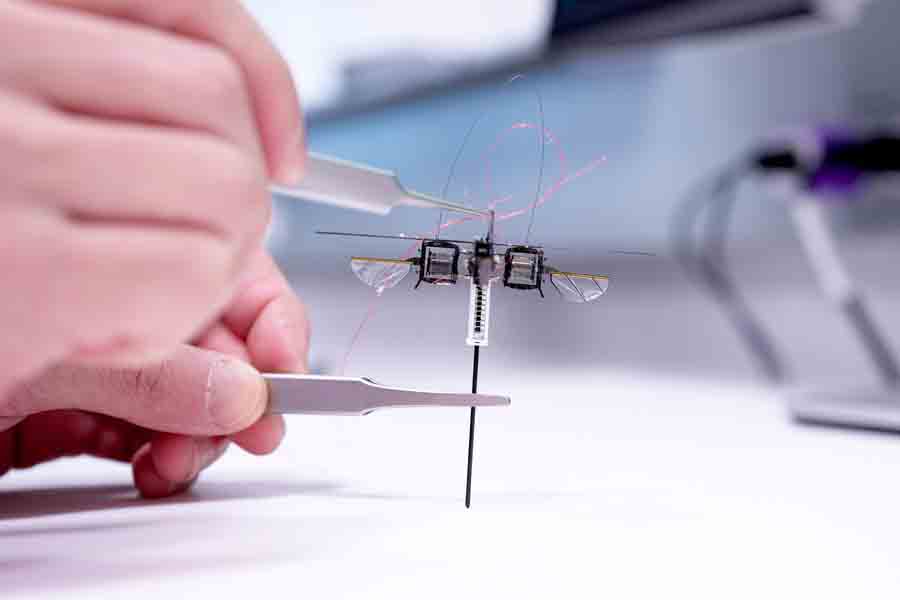 Hopping gives this tiny robot a leg up