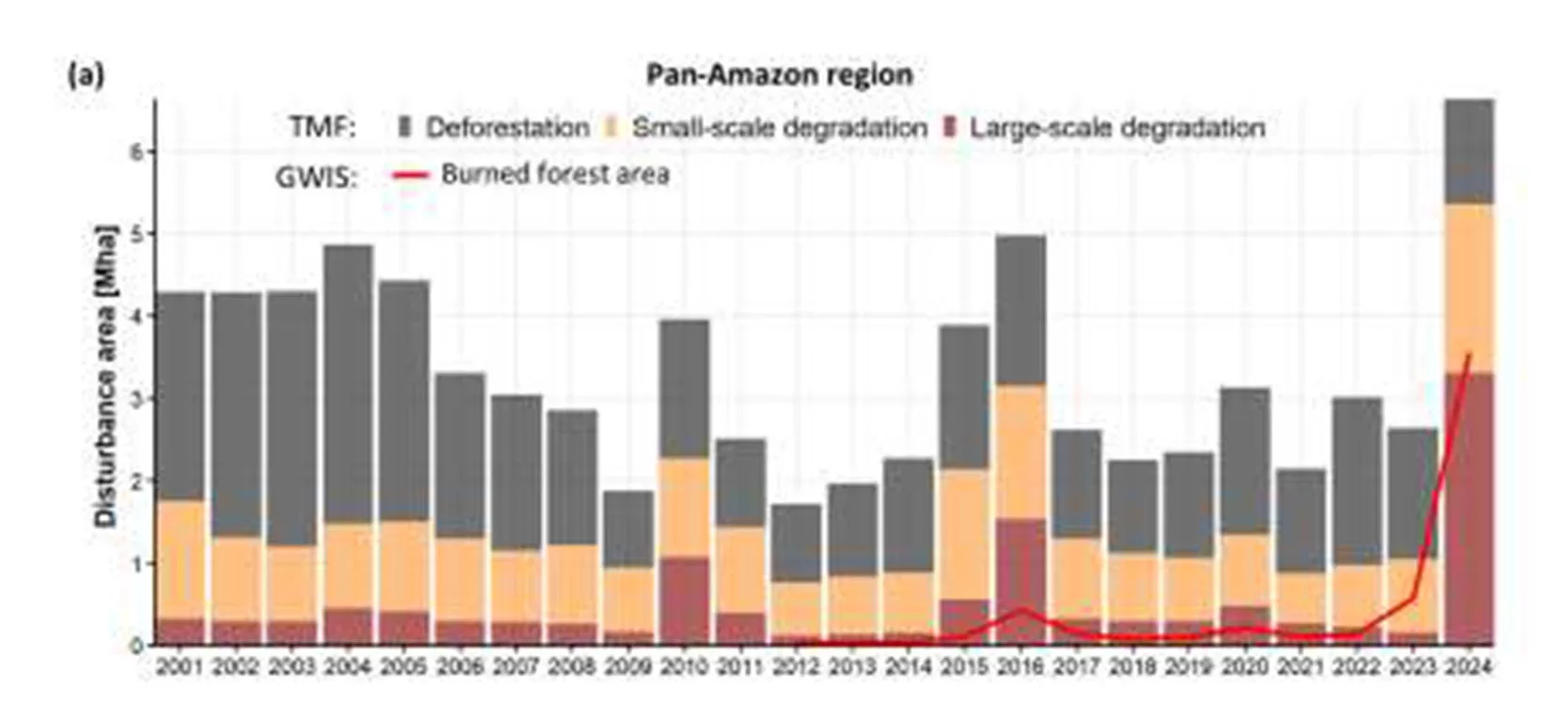 Record-breaking 2024 Amazon fires drive unprecedented carbon emissions ...